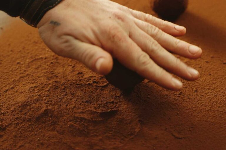 Cocoa Powder Manufacturing Process: From Bean to Powder - Indonesian ... Cocoa Powder Manufacturing Process: From Bean to Powder - Indonesian ...